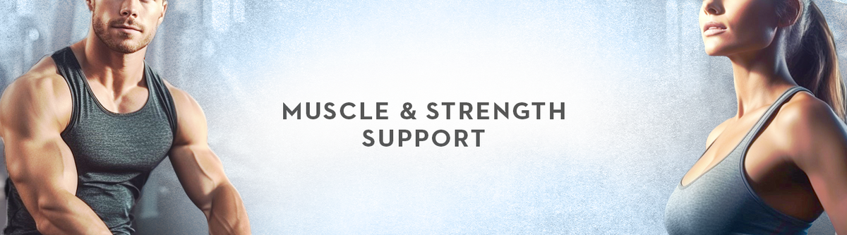 Muscle & Strength Support - Best Muscle Building Supplements – Vitaminerals